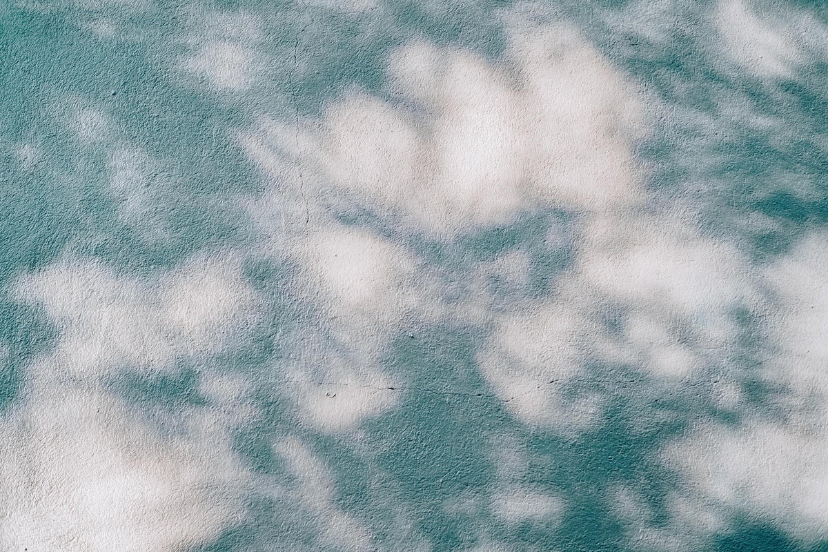 【SPECIAL PICK UP】– THE ANOTHER CONCEPT STORE